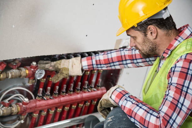 Hawaii Rooter Services: Clearing Clogs and Root Intrusions